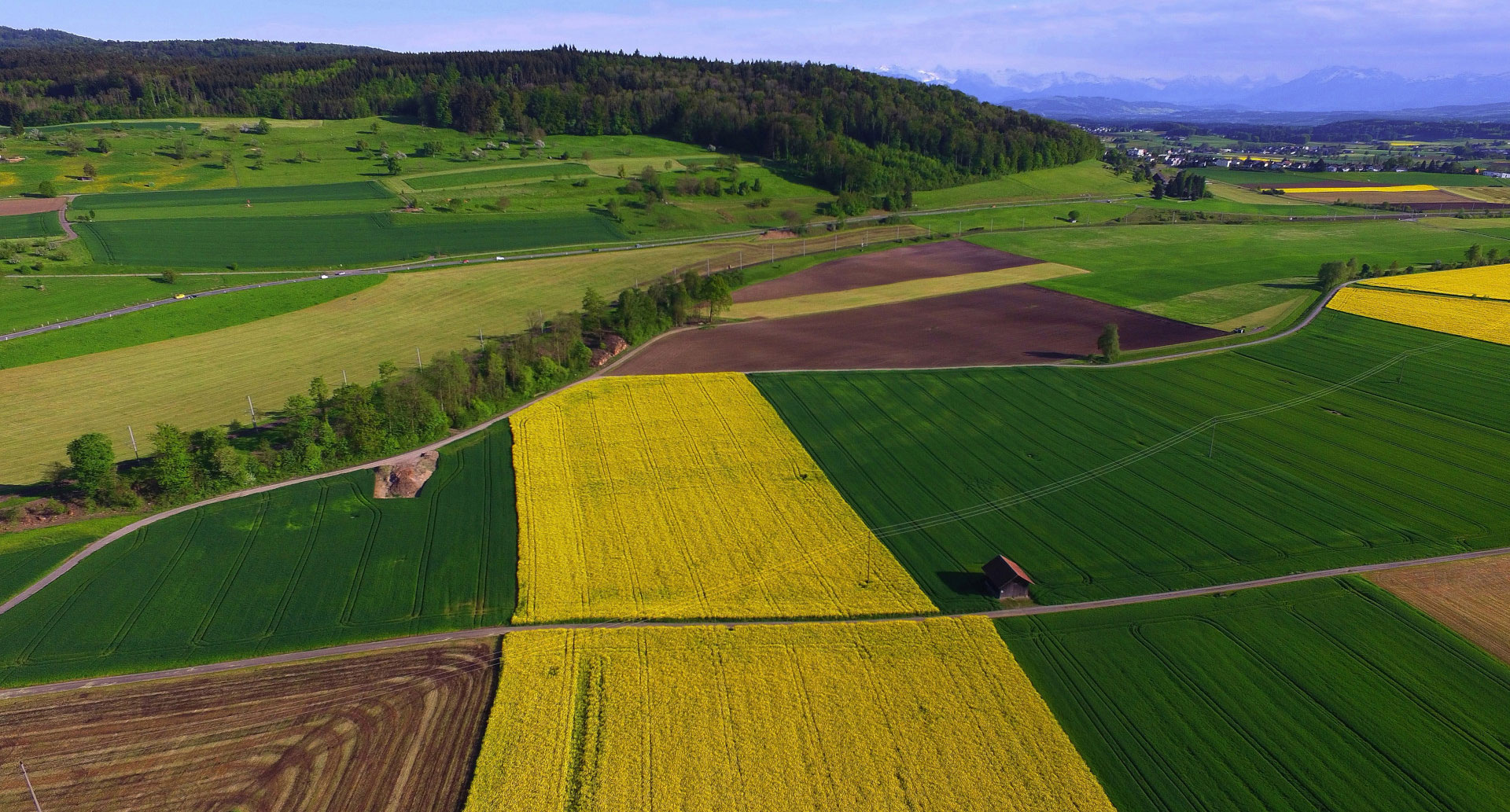 Business Reviews - Ceres Rural