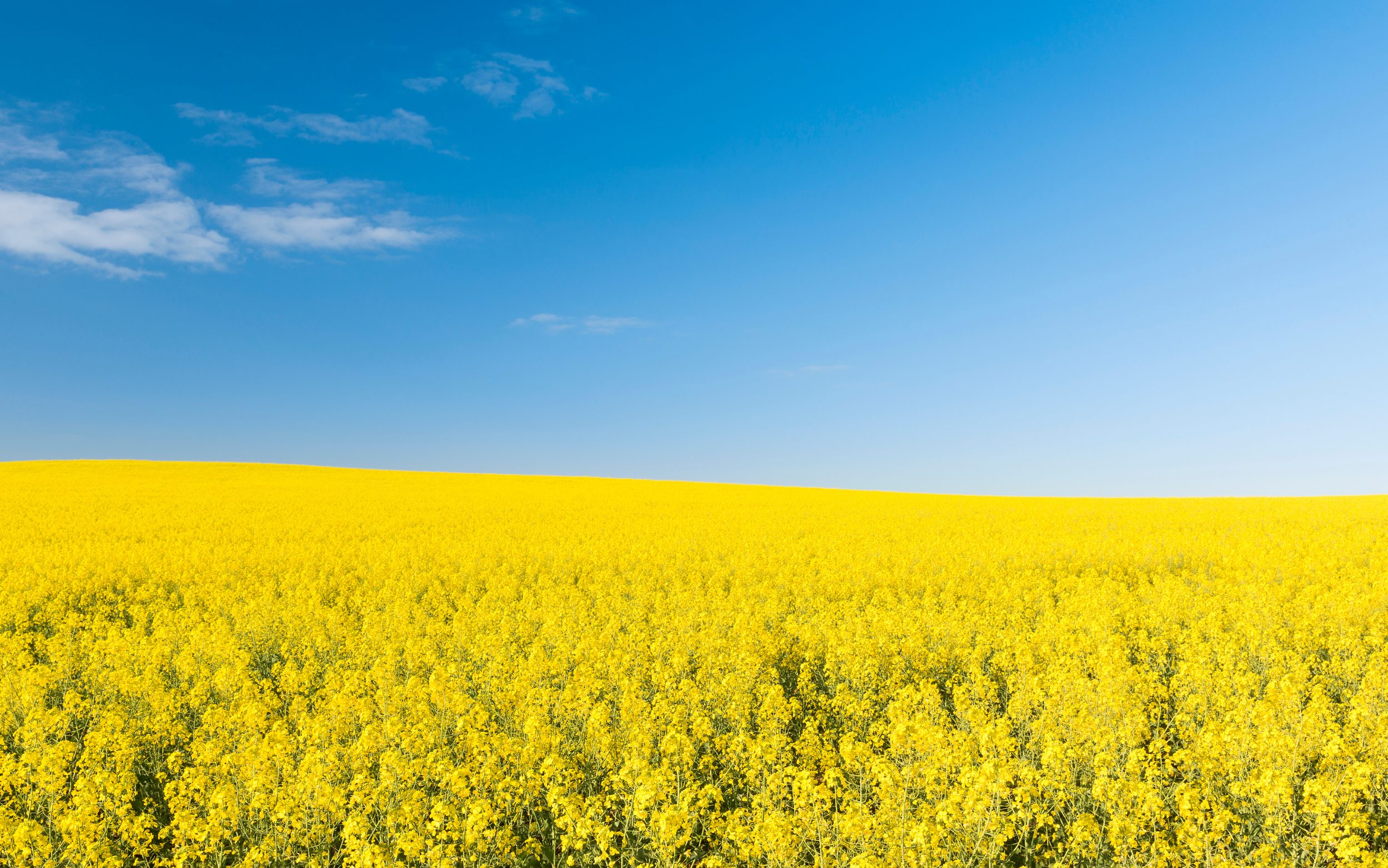 fARMING UPDATE - SPRING 2022 - Ceres Rural