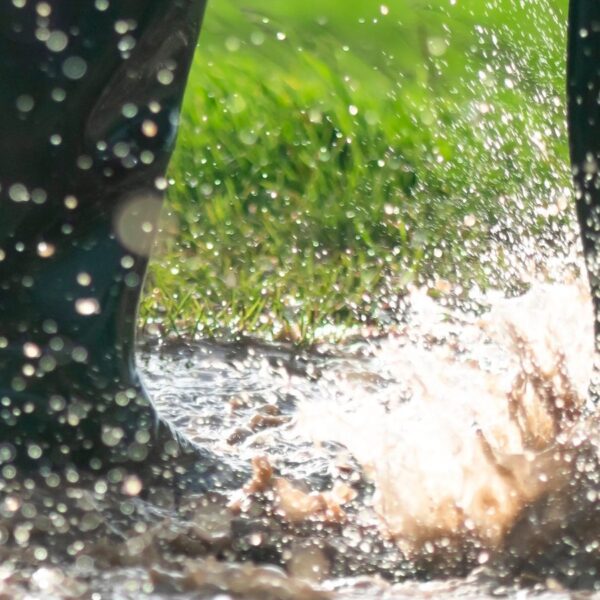 Our Publications Archives - Ceres Rural