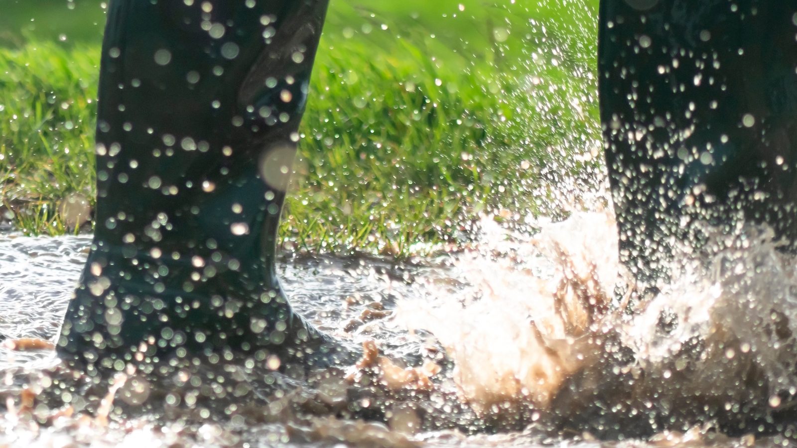 Farming Update - March 2024 - Ceres Rural