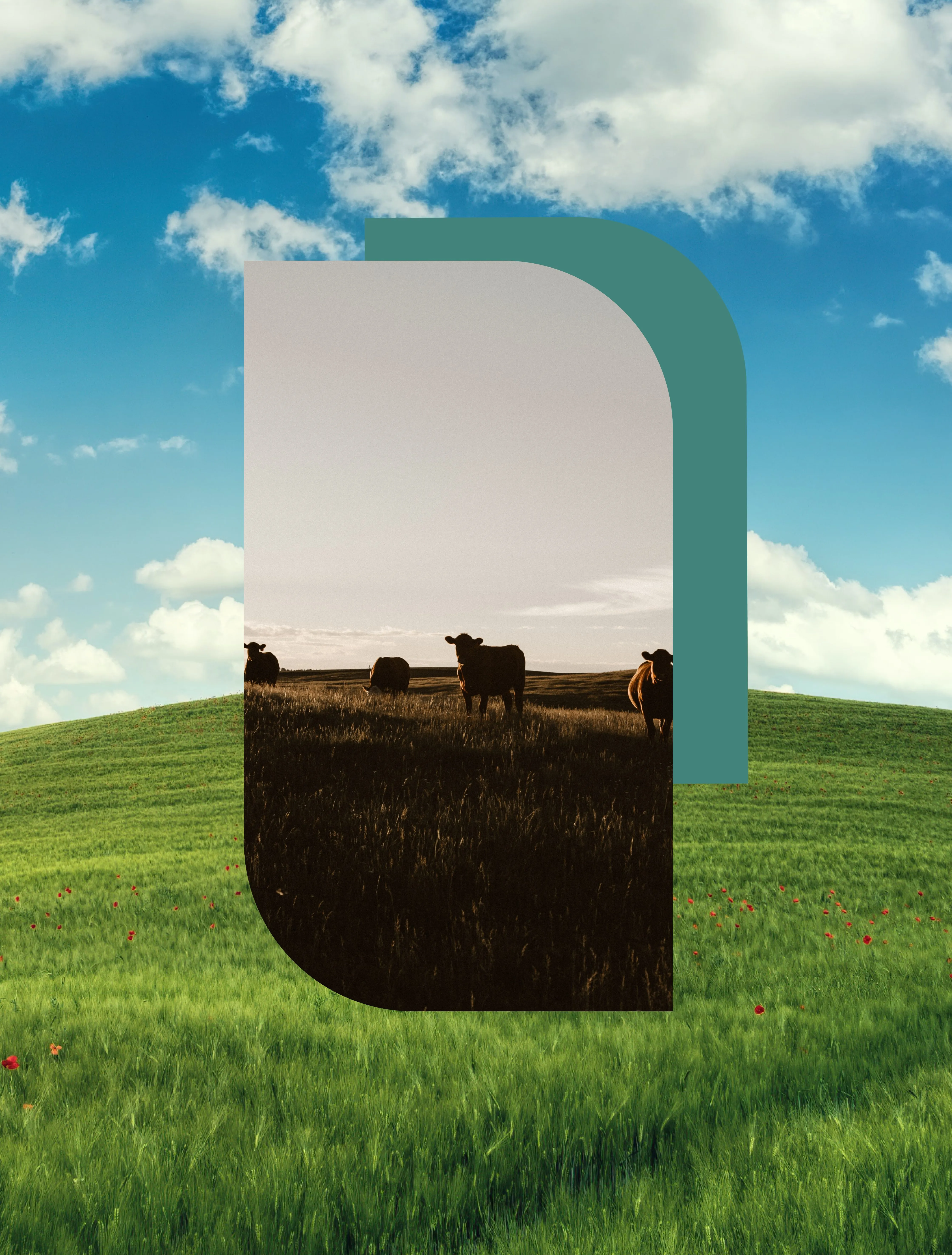 Regenerative Agriculture Consultancy - Ceres Rural